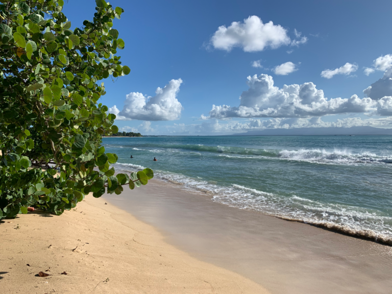 Plage du Souffleur Guadeloupe à Port-Louis : tout savoir
