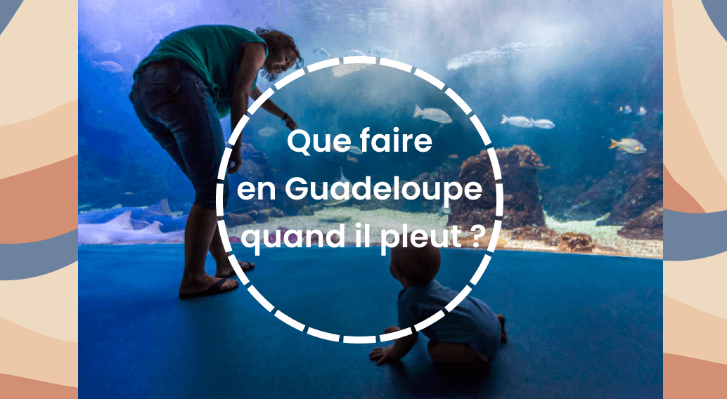 Que faire en Guadeloupe quand il pleut ? 8 activités