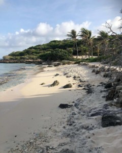 Plages naturistes en Guadeloupe : où les trouver