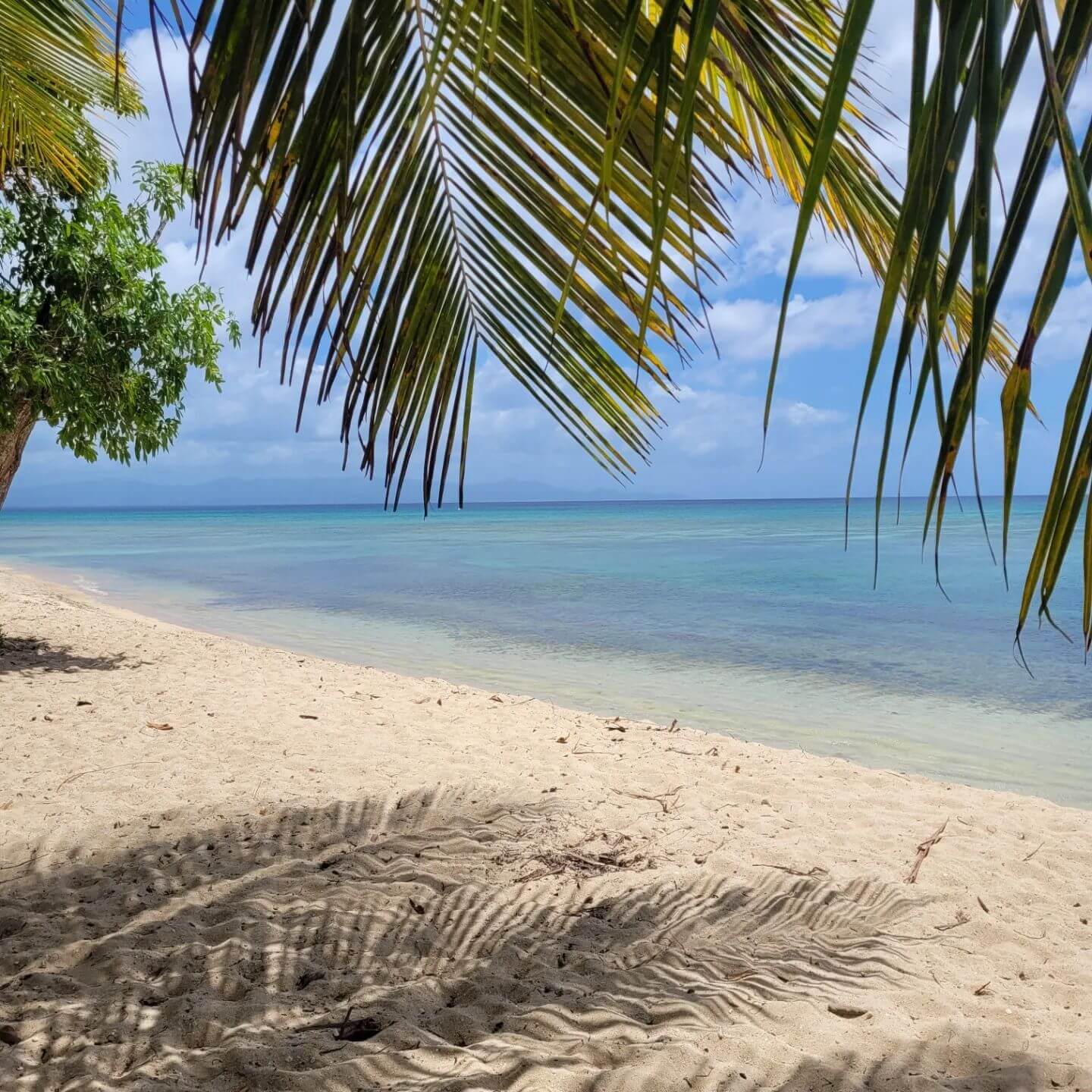 Plage du Souffleur Guadeloupe à Port-Louis : tout savoir