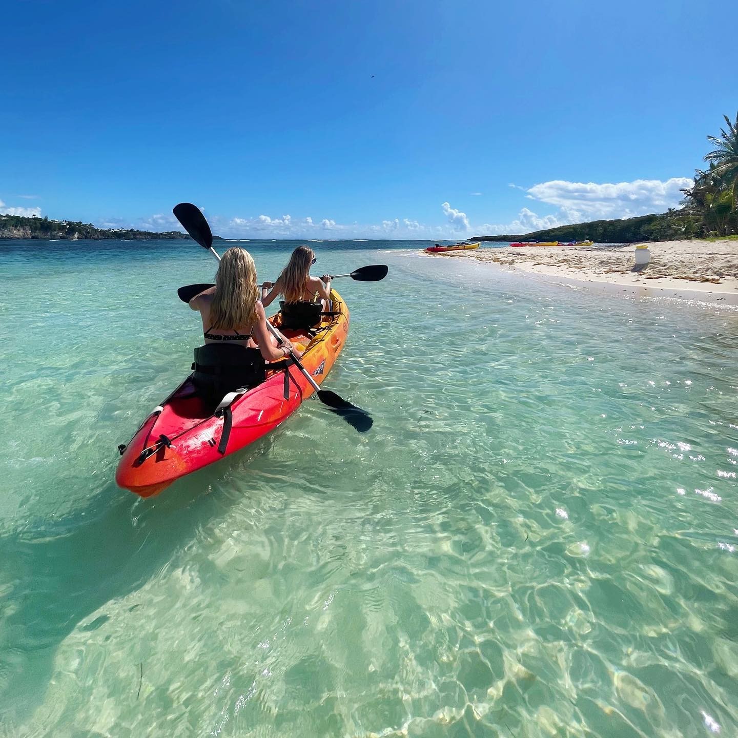 Kayak Guadeloupe : les 3 meilleures excursions mangrove