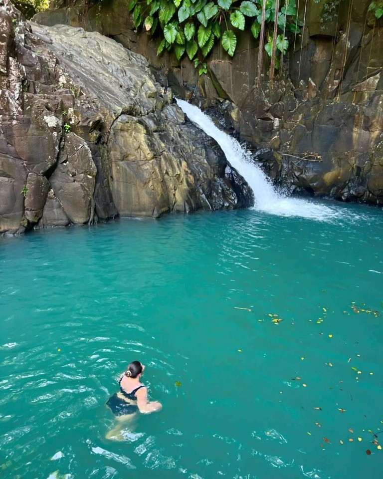 Saut de l'acomat en Guadeloupe : le guide