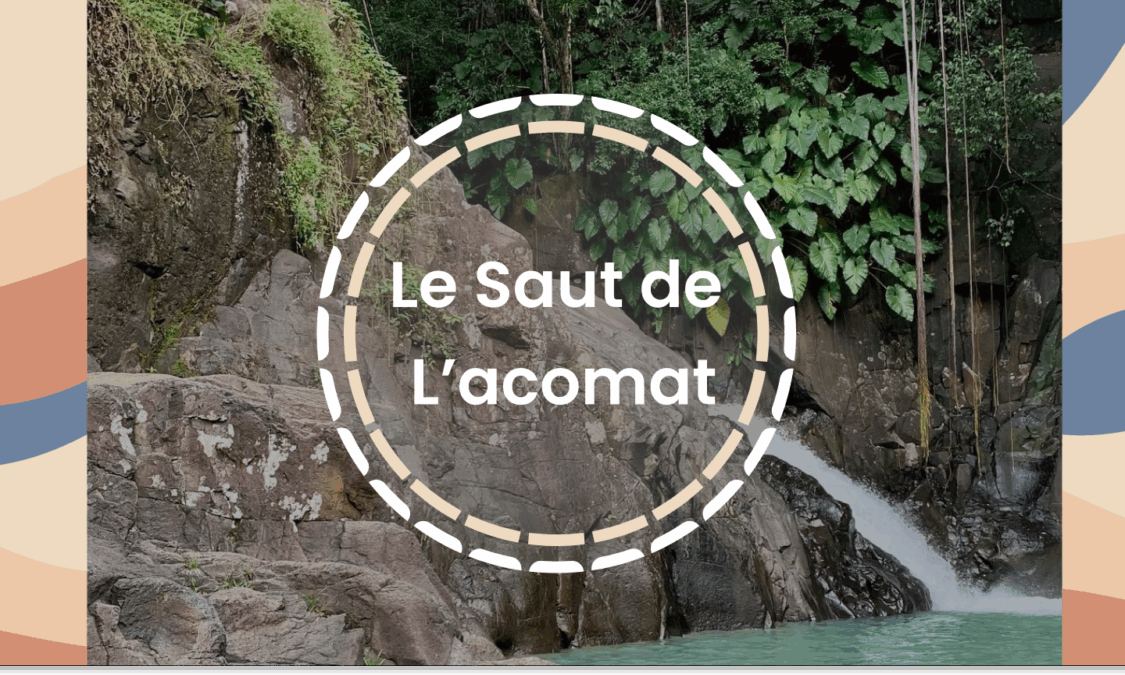 Saut de l'acomat en Guadeloupe : le guide