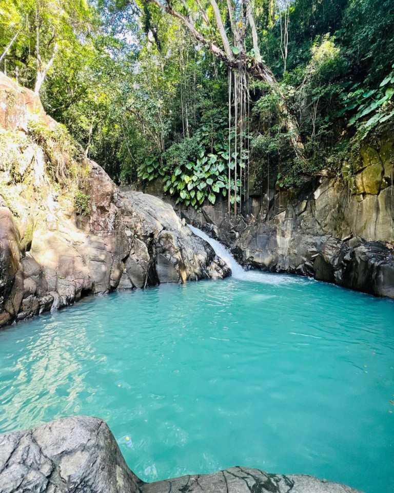 Saut de l'acomat en Guadeloupe : le guide