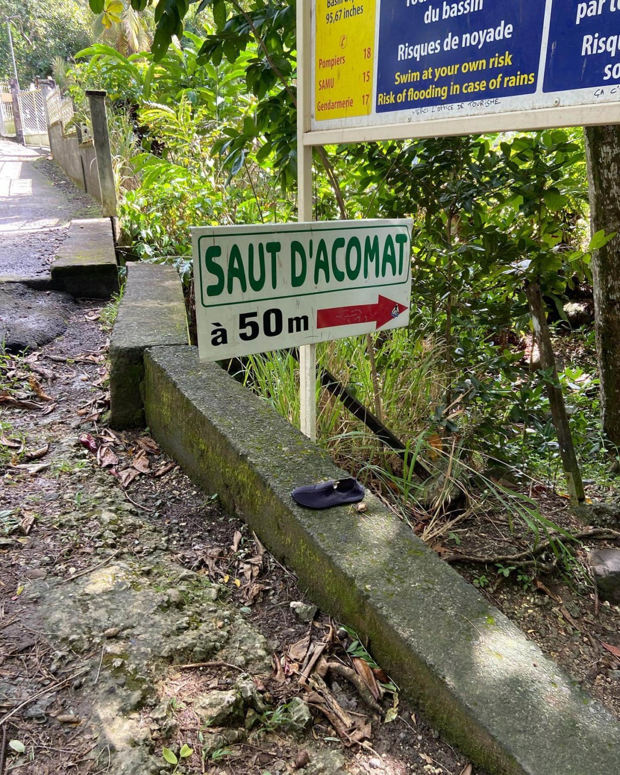 Saut de l'acomat en Guadeloupe : le guide