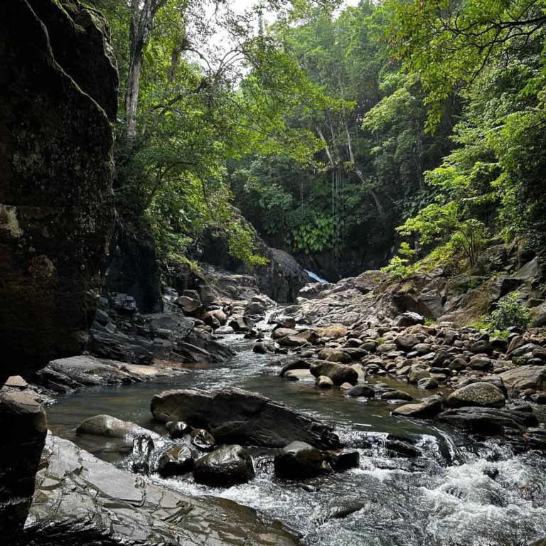 Saut de l'acomat en Guadeloupe : le guide